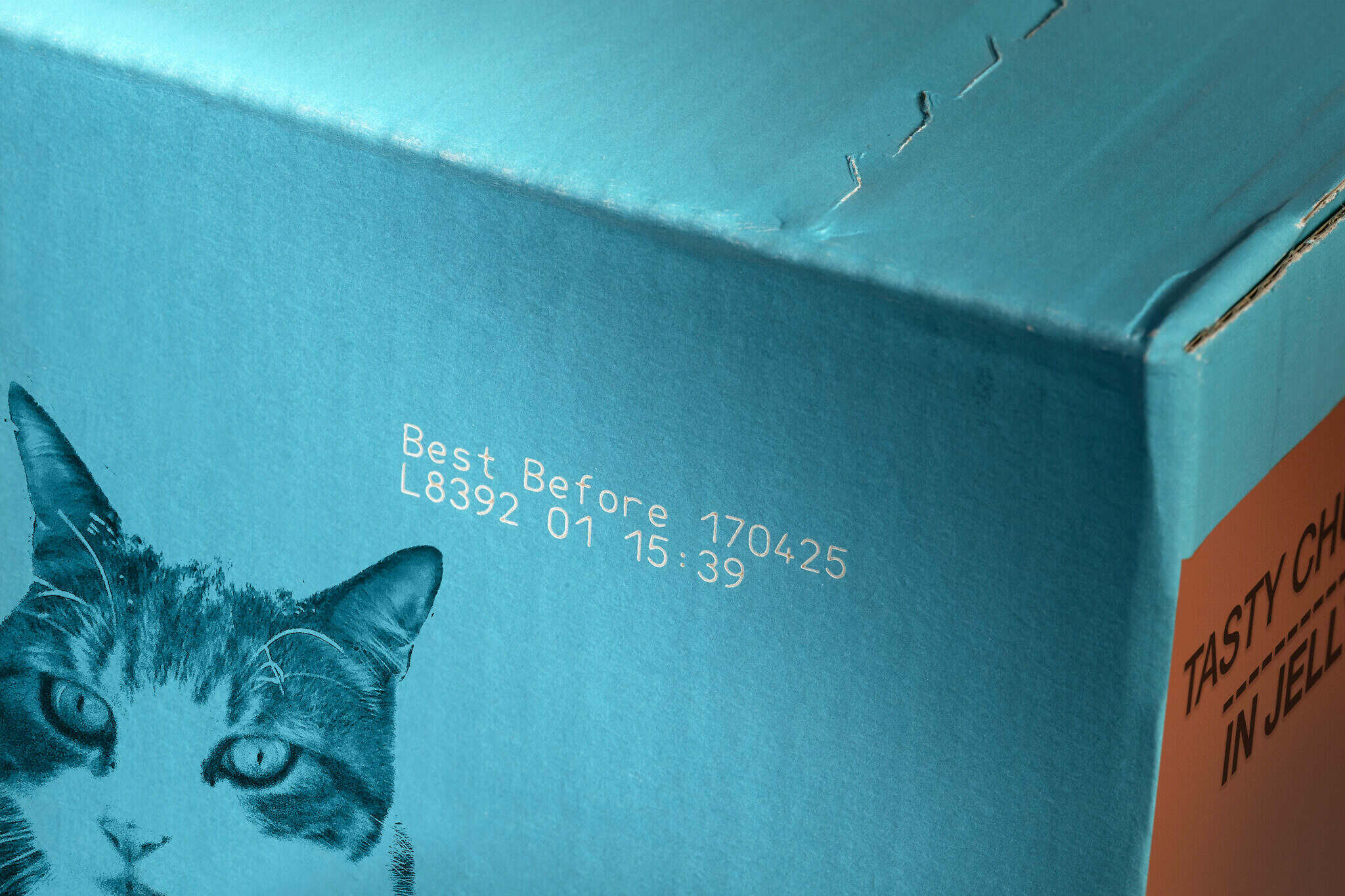 Laser or industrial inkjet printer - which is best?
